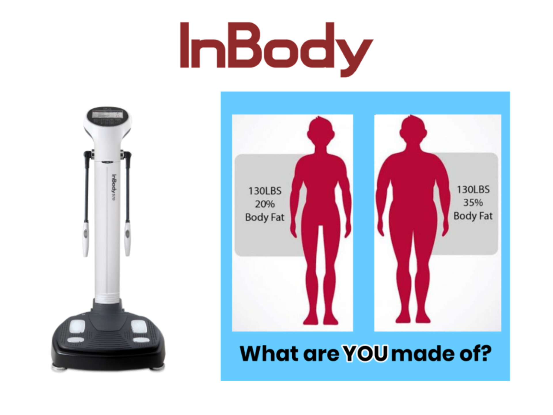 Chatham Works | InBody Body Composition Analysis